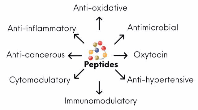 Halo Concierge Doctors – Are Peptides Right for you?
